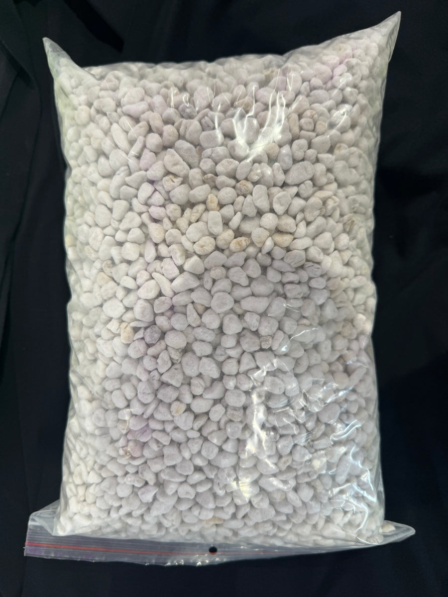 Jumbo Chillagoe Perlite – Barrita Orchids